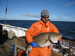 Northern Atlantic cod making a comeback | National Fisherman