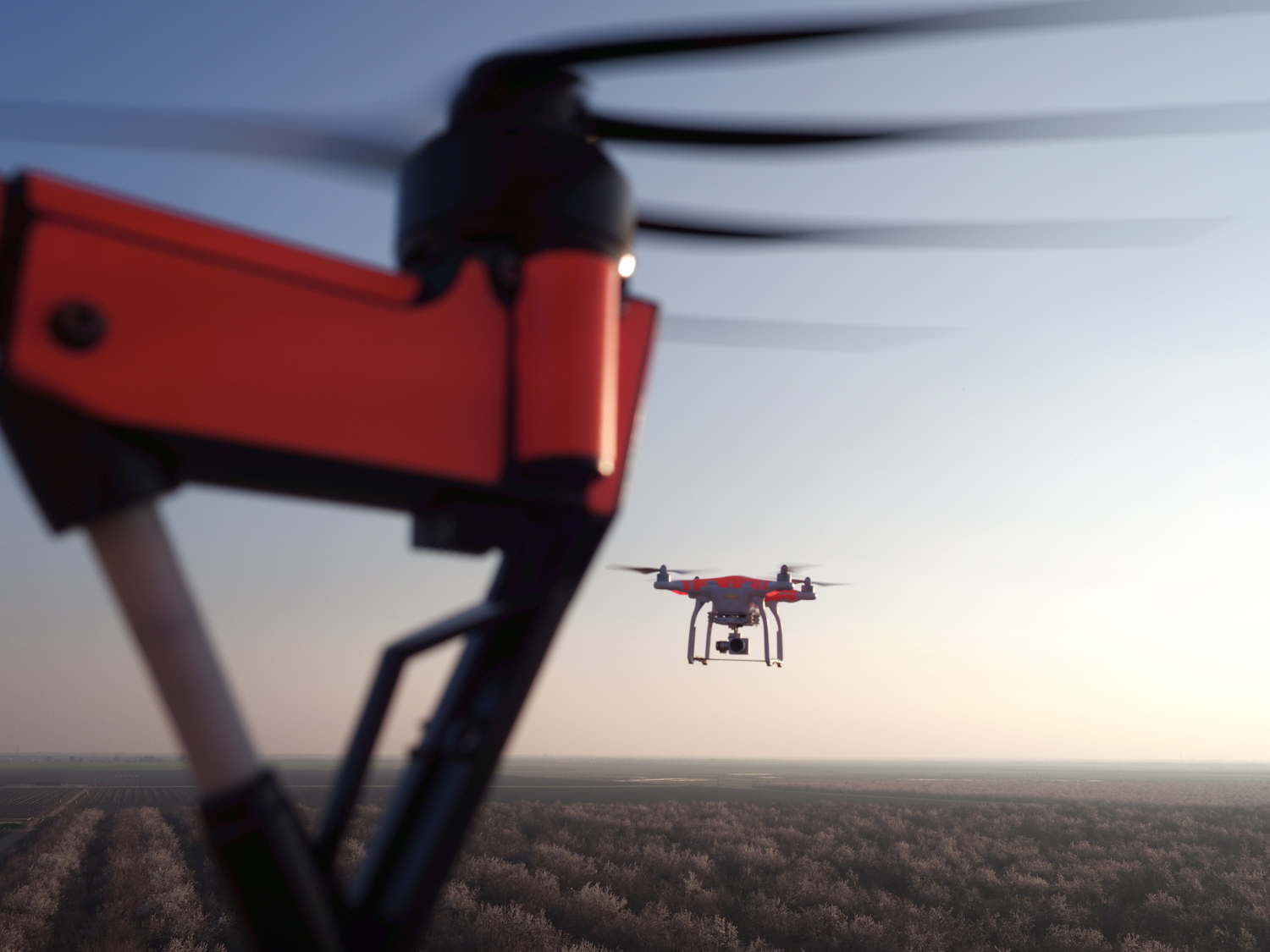 How Will Drones Impact the Future of Precision Agriculture ...
