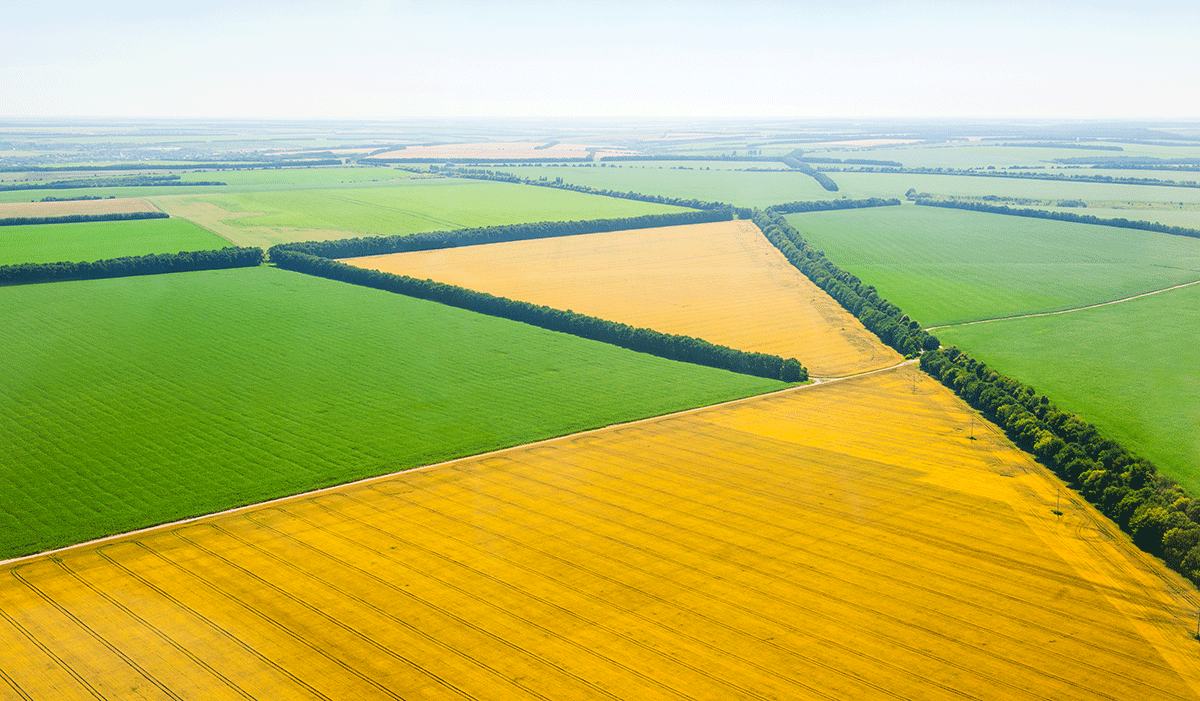 ROI with UAVs: Defining the Precision Agriculture Marketplace for ... ROI with UAVs: Defining the Precision Agriculture Marketplace for ...